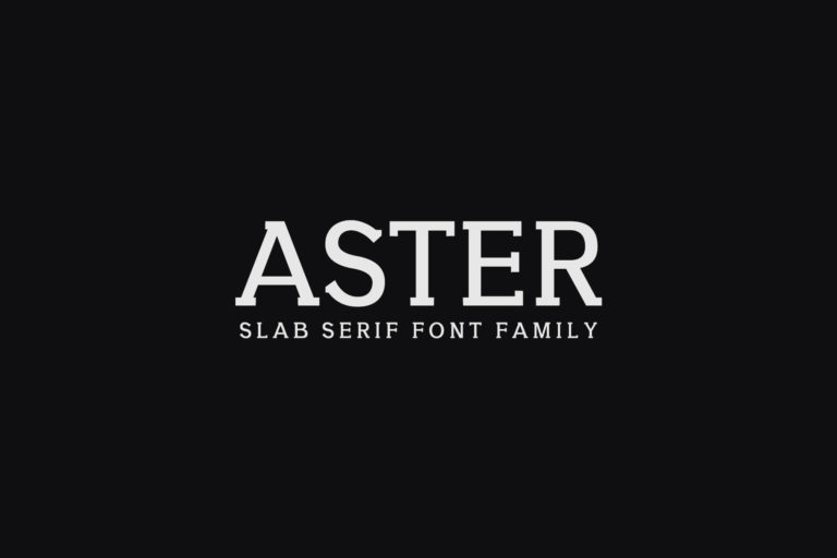 Aster Slab Serif Font Family - Creative Finest