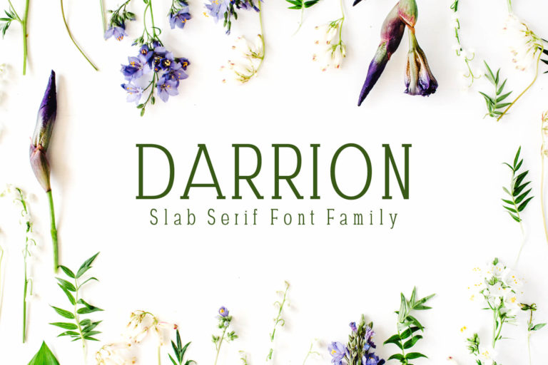 Darrion Slab Serif Typeface - Creative Finest
