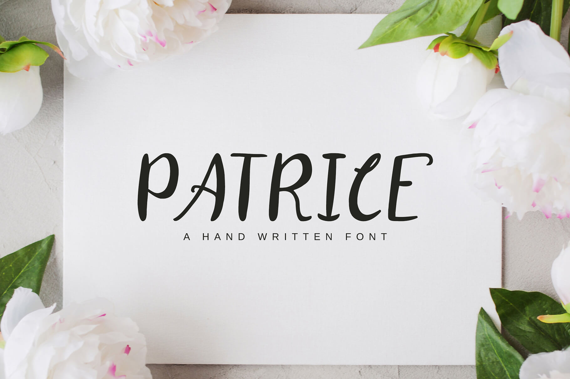 Patrice Script Font - Creative Finest